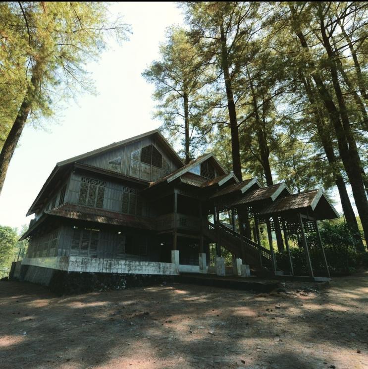 Sinopsis Dedemit Diikuti Makhluk Halus, Misteri Kelam Rumah Peninggalan ...