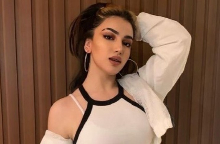 Selain Suami Sandra Dewi, 4 Artis Ini Juga Jalankan Bisnis Tambang
